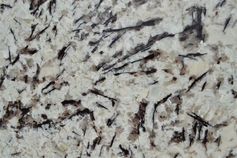 SPLENDOUR WHITE SPECIAL 3CM LOT 3P885019SP cl 121X77 | Stone and ...